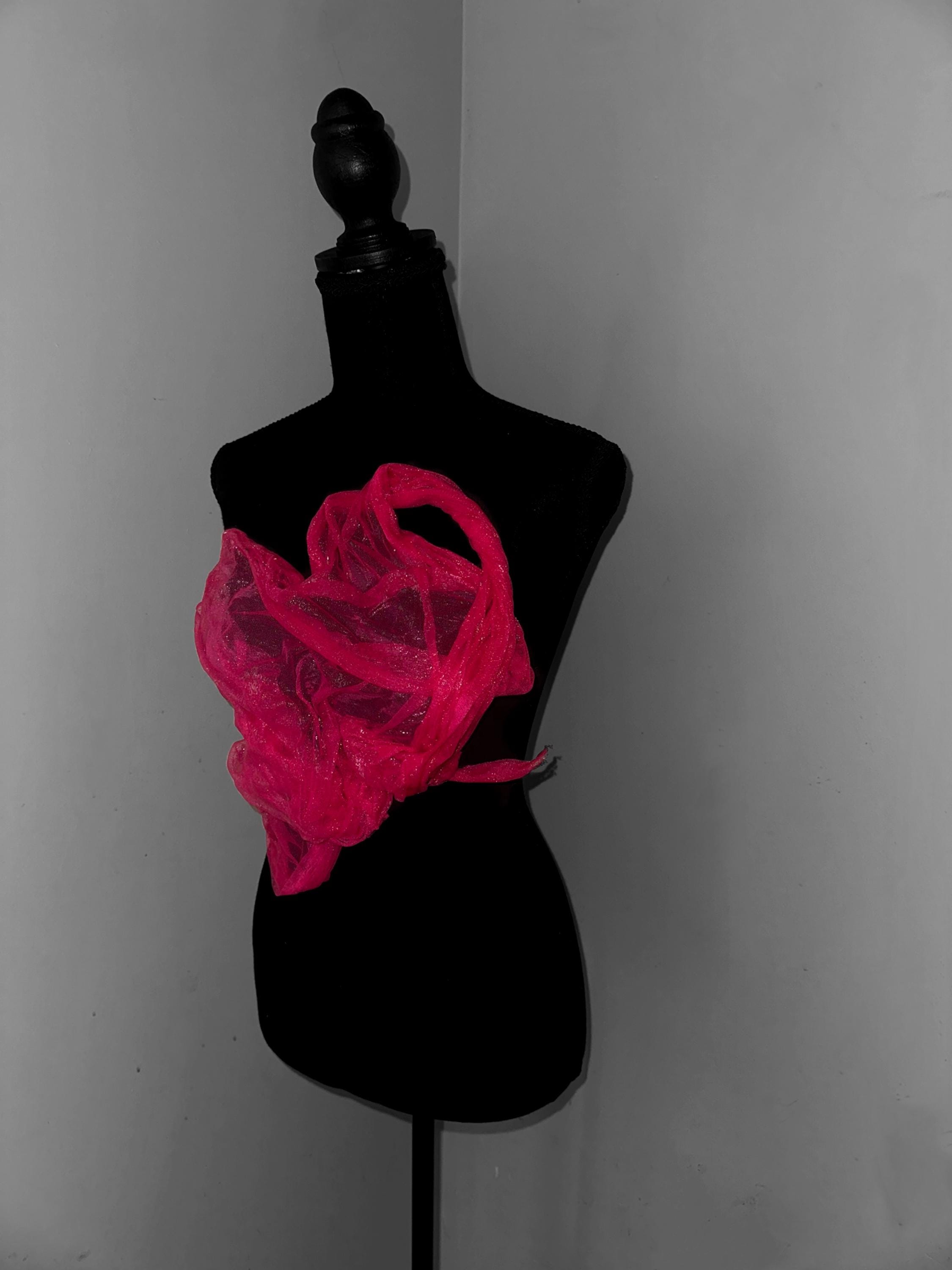 Wet Look Frozen Corset - SHEER - Etsy