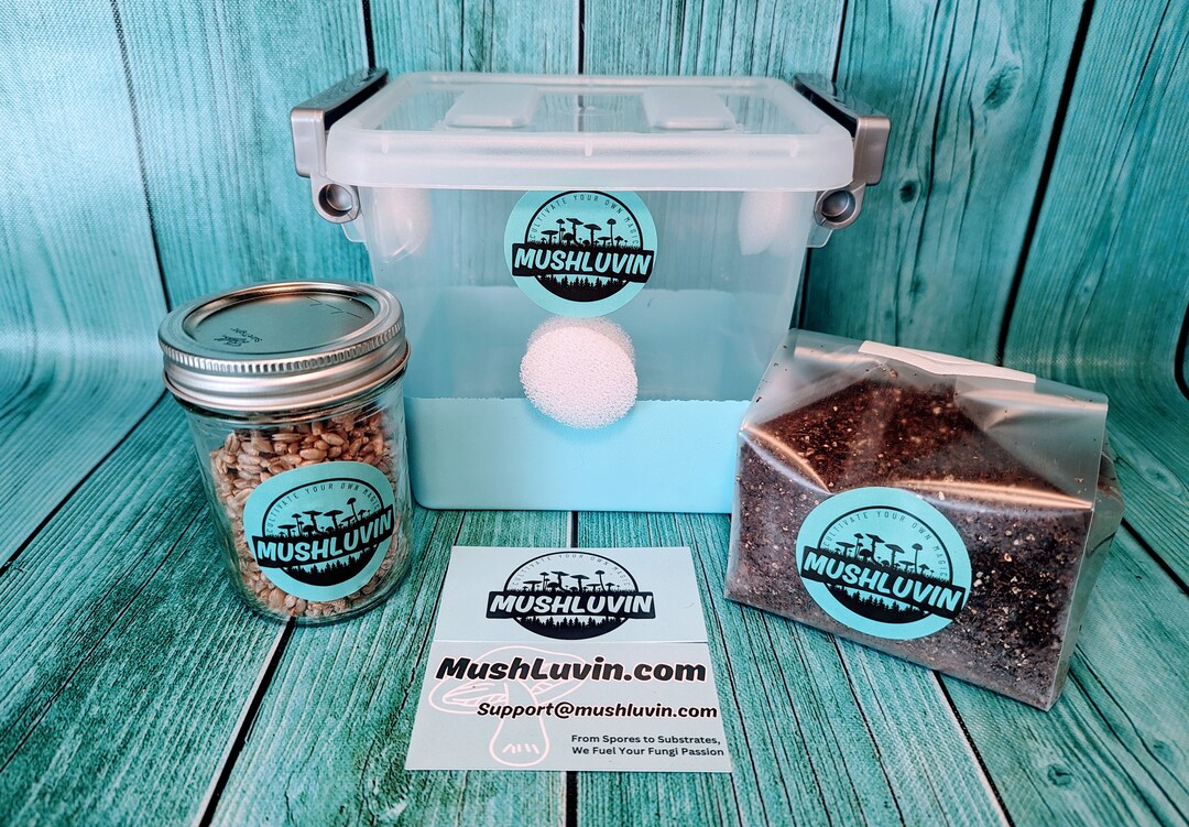 Micro Mushroom Monotub Kit - Etsy