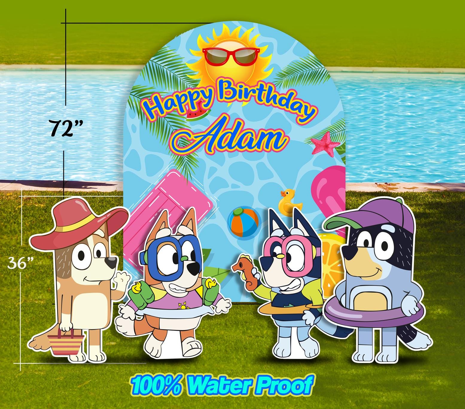 Bluey Pool Party Cutout Prop – Summer Birthday Decorations, Outdoor ...