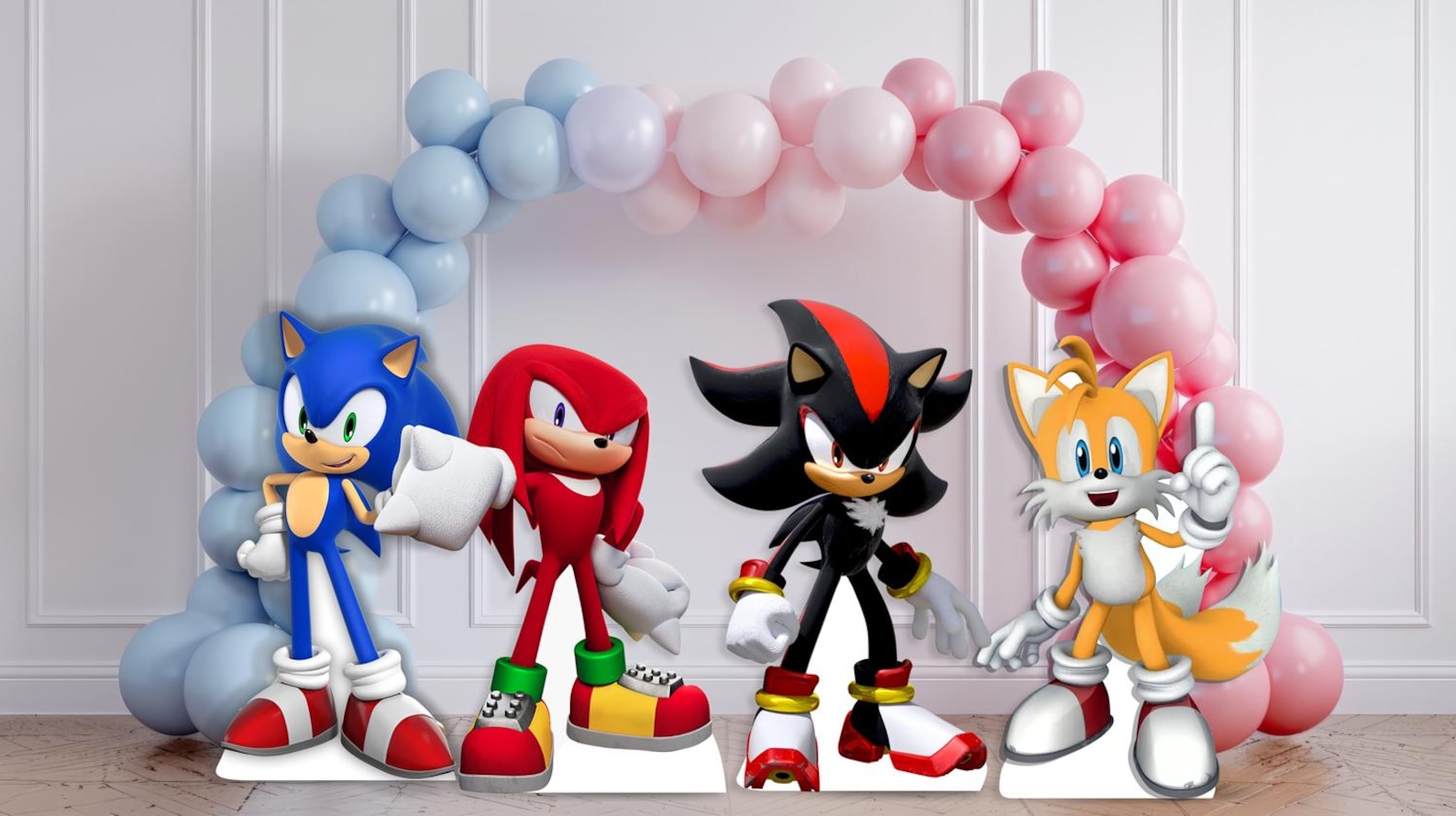 Sonic Props, Sonic Backdrop, Party Props, Shadow Cutout, Knuckles ...