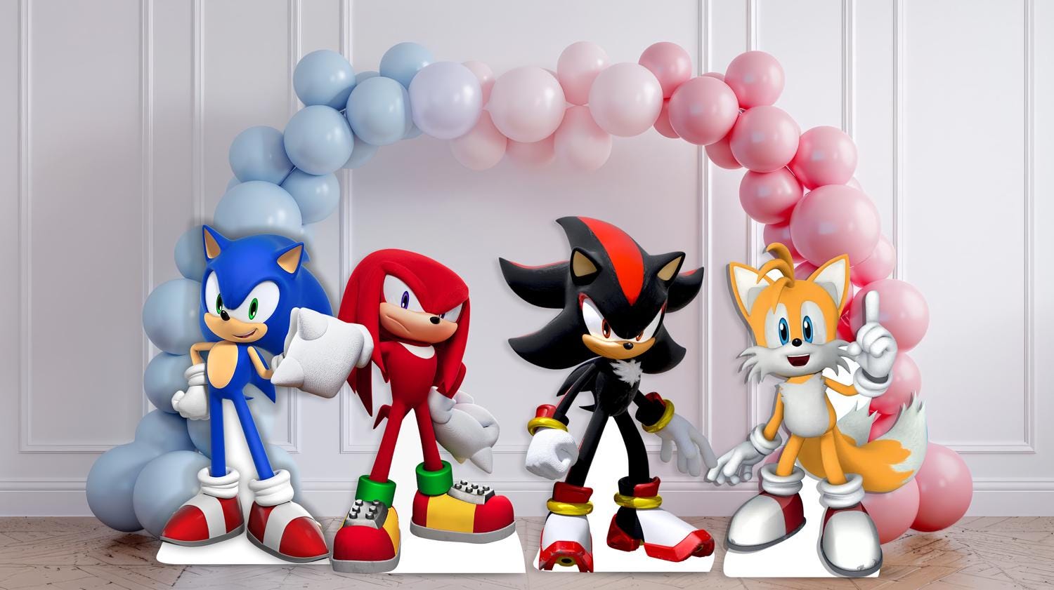 Sonic Props, Sonic Backdrop, Party Props, Shadow Cutout, Knuckles ...