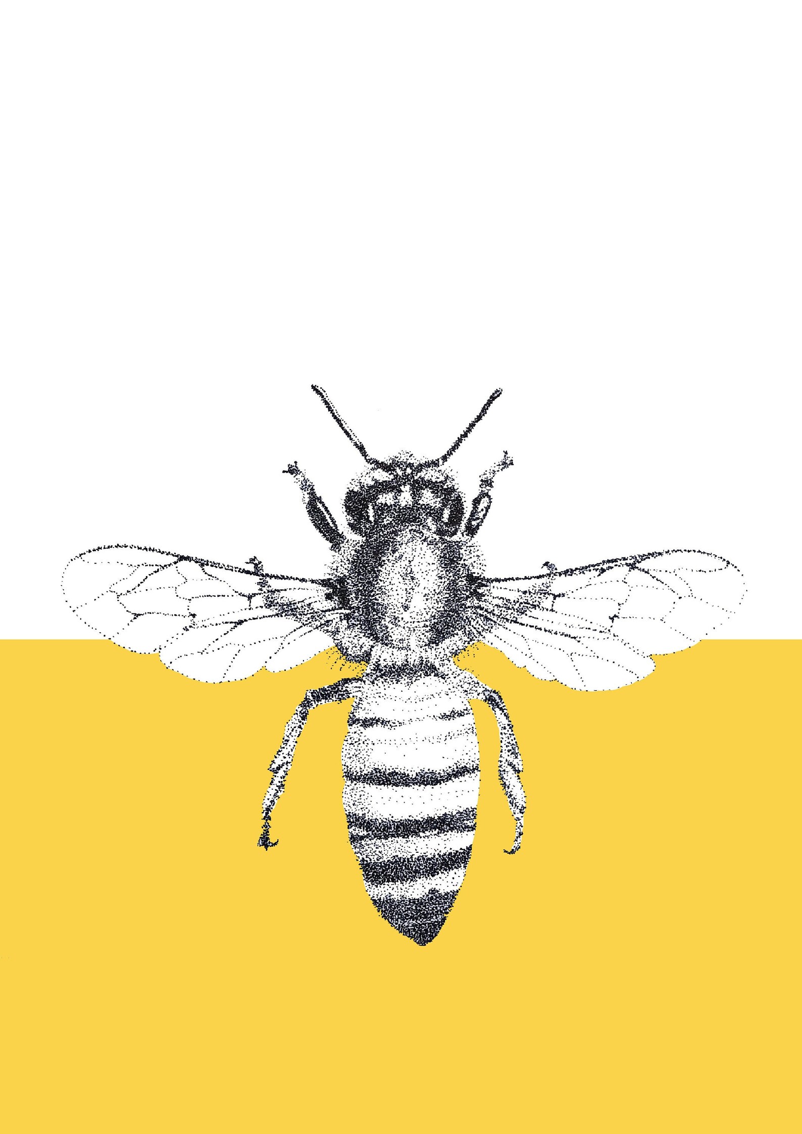 Original Dot Drawing, Honey Bee, Wall Decor, Printable and Downloadable ...