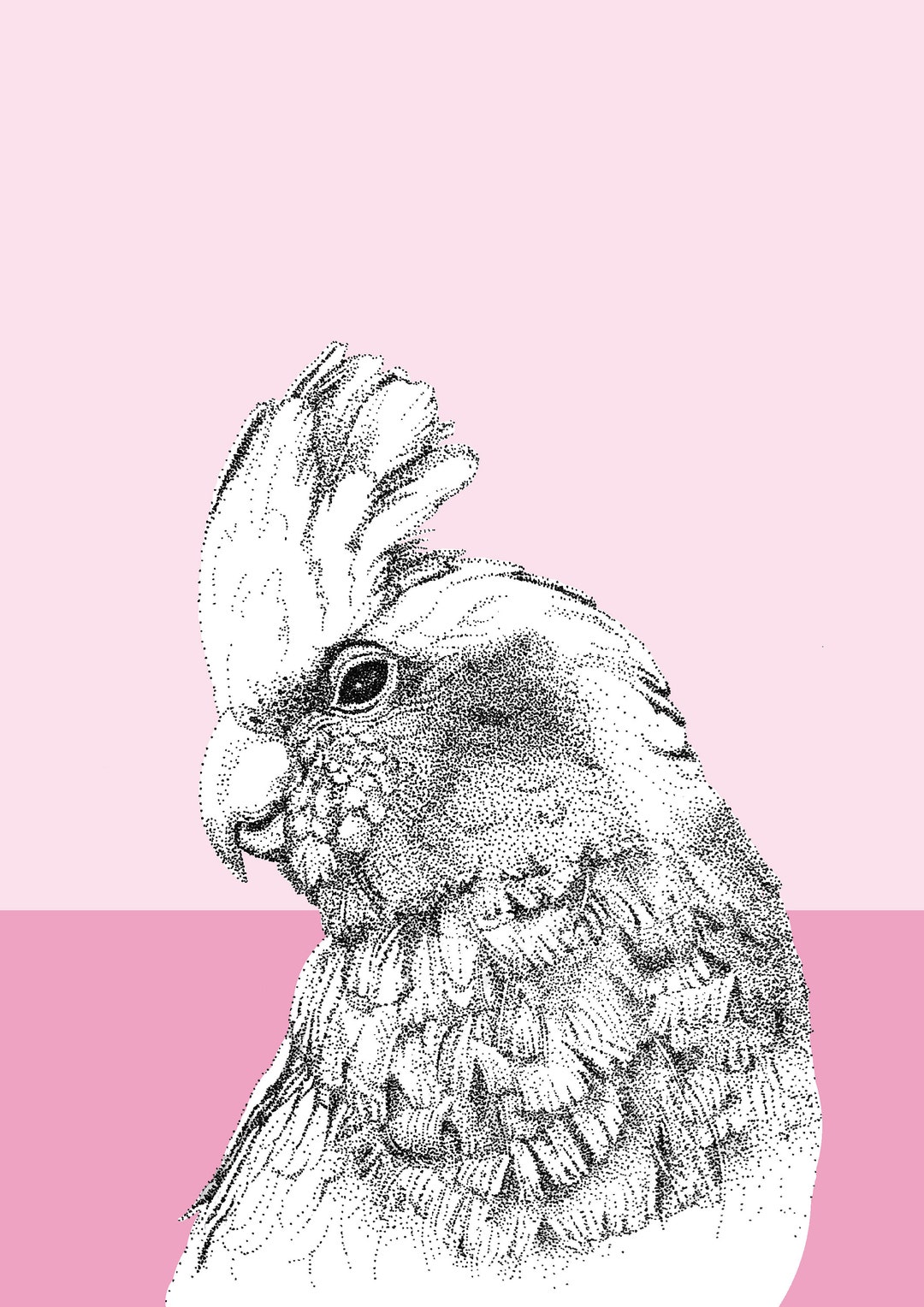 Original Dot Drawing, Australian Native Bird, Galah, Wall Decor ...