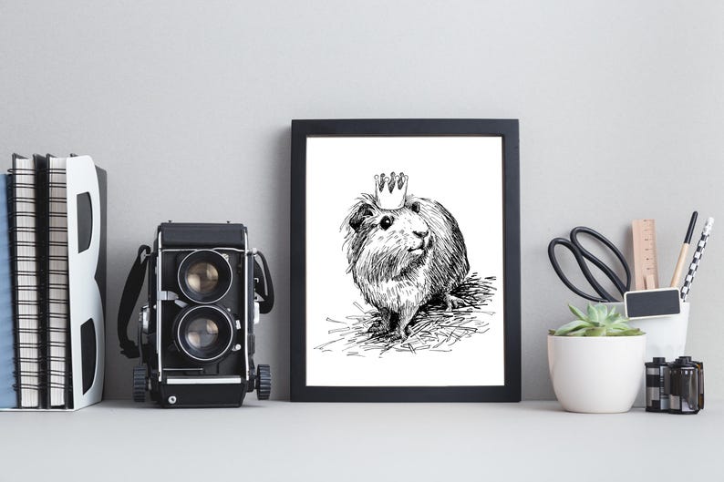 Guinea Pig Prince of Pets Pen and Ink Drwaing Art Print Crowned Pig - Etsy