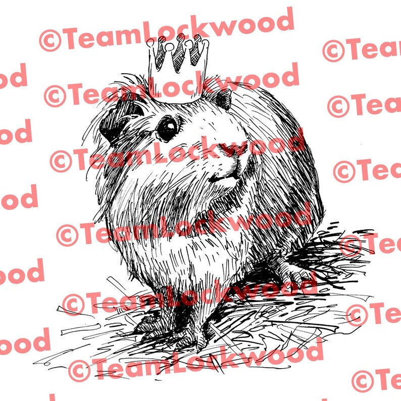Guinea Pig Prince of Pets Pen and Ink Drwaing Art Print Crowned Pig - Etsy