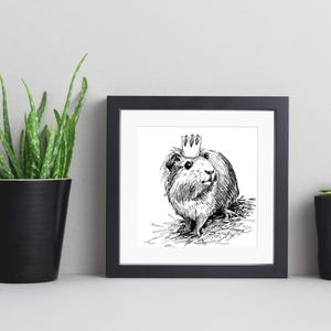 Guinea Pig Prince of Pets Pen and Ink Drwaing Art Print Crowned Pig - Etsy