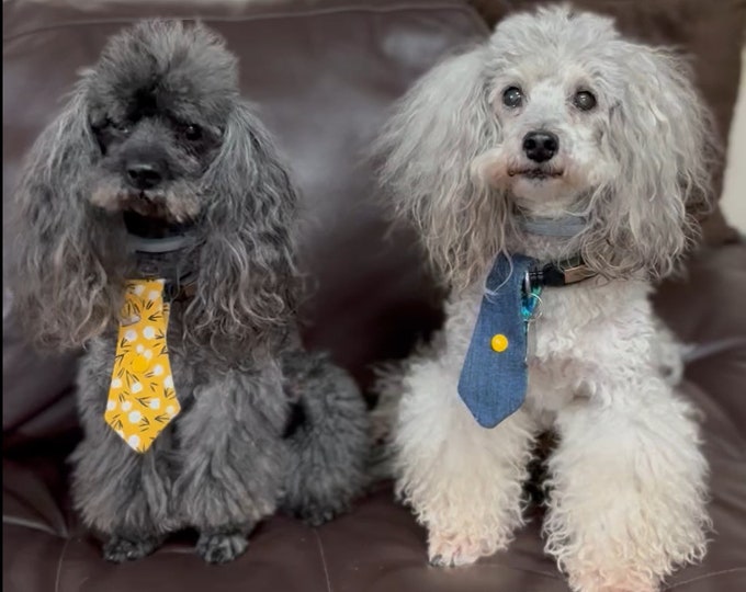 GARFIELD ODIE Adult MASK & D.V.D. Face Covering Fully Reversible ...