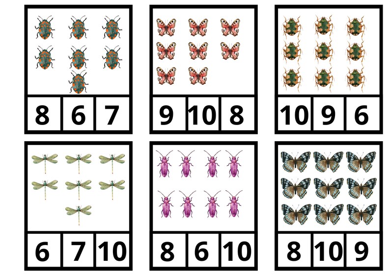 BUGS Count and Clip Cards || Counting 1 to 10|| 48 Cards || Activity ...