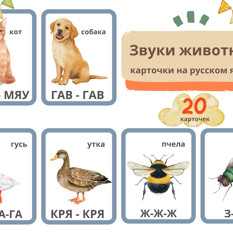 Animal Sound Flash Card - Etsy