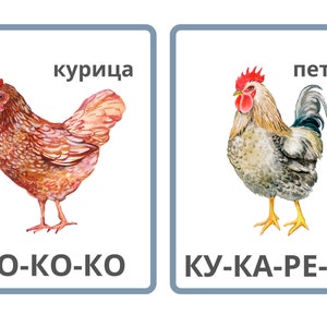 Звуки животных карточки большого формата на русском языке || Animal ...