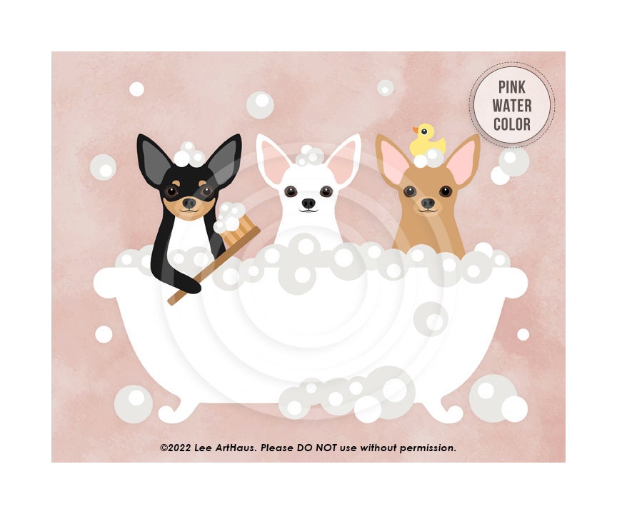 Does A Dog Need A Special Bubble