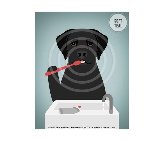 How To Brush A Labrador