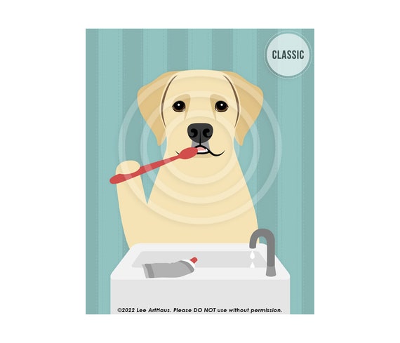 How To Brush A Labrador