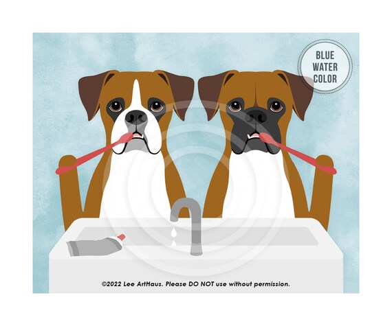 Boxer Dog Teeth