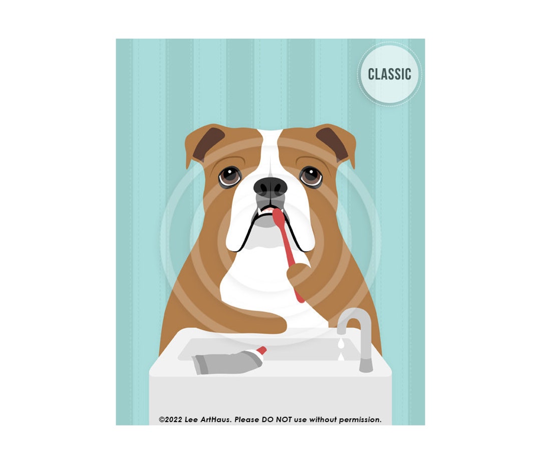 English Bulldog Teeth