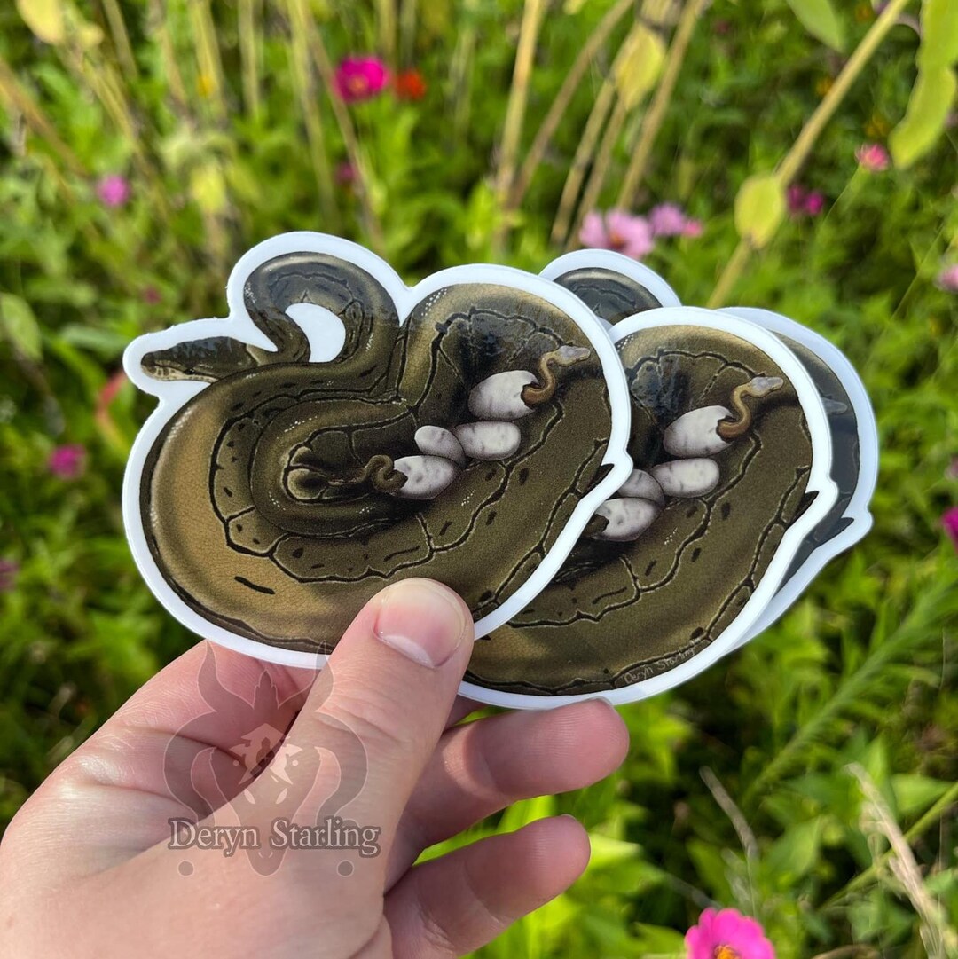 Ball Python Stickers - Etsy