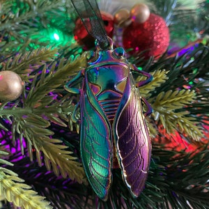 Large Cicada Ornament | Iridescent Rainbow Insect Ornament | Magic ...