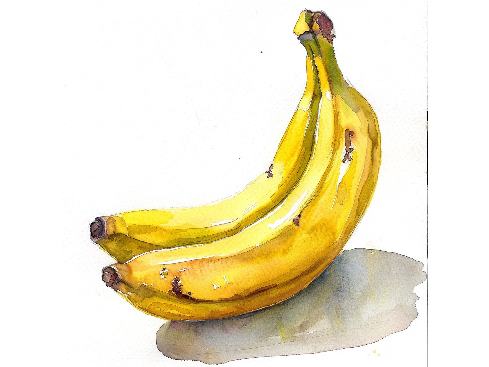 Watercolor Banana Clipart Watercolor Fruits PNG Commercial Use Sweet ...