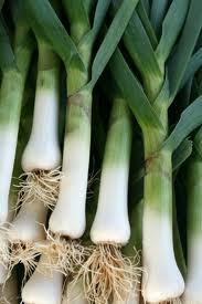Organic Leeks American Flag Gourmet Quality Heirloom Standard Excellent ...