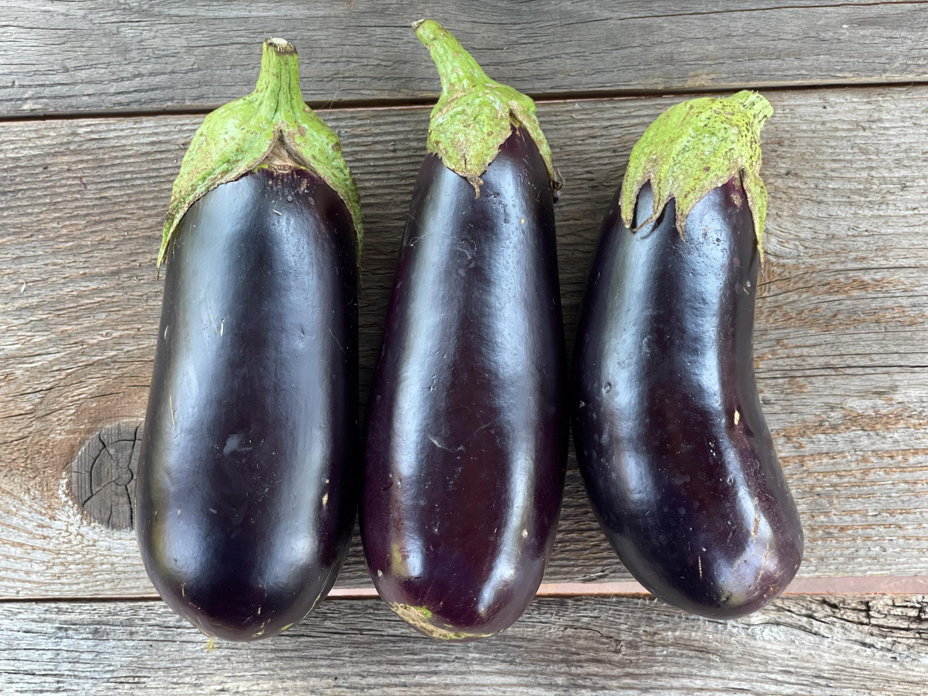 Organic Long Purple Italian Eggplant Excellent Flavor Productive Rare ...