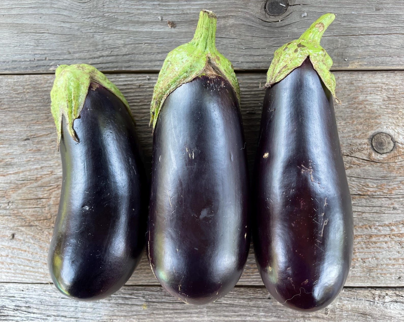 Organic Long Purple Italian Eggplant Excellent Flavor Productive Rare ...