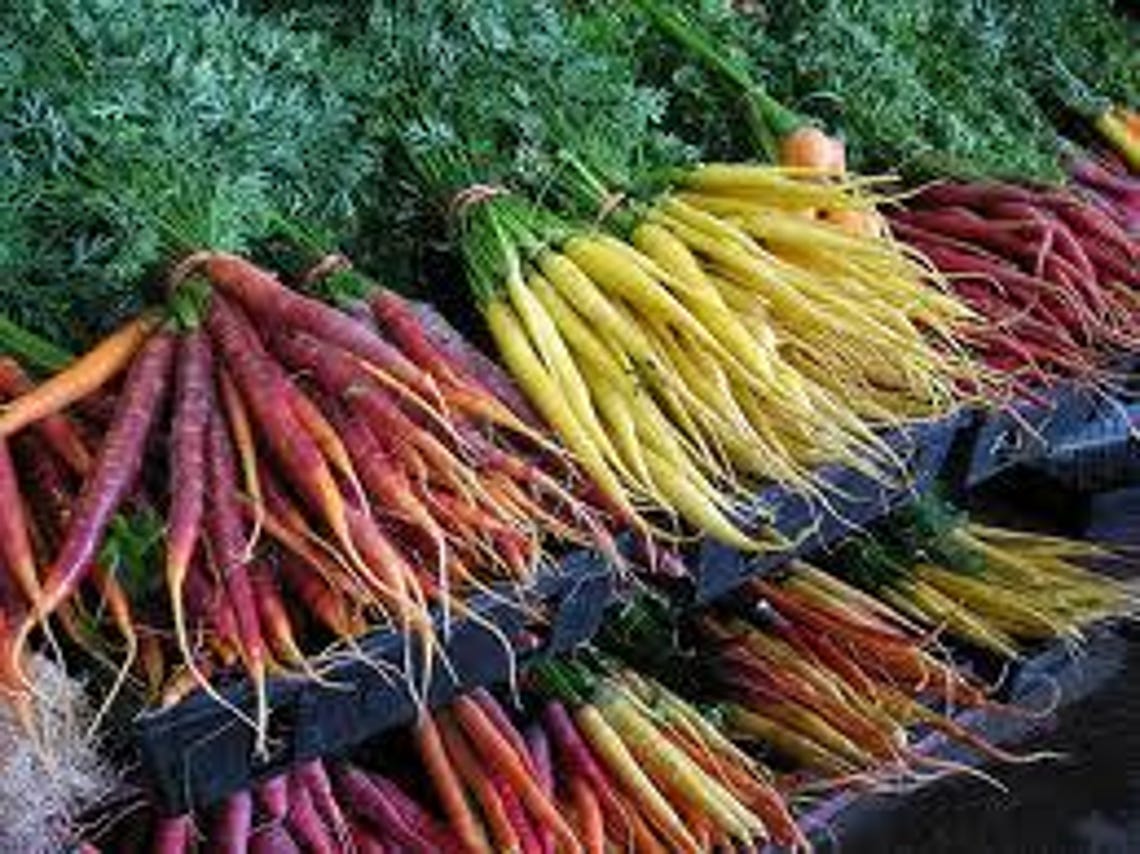 Organic RAINBOW CARROTS Custom 6 Variety Mix RARE Heirloom Seeds - Etsy