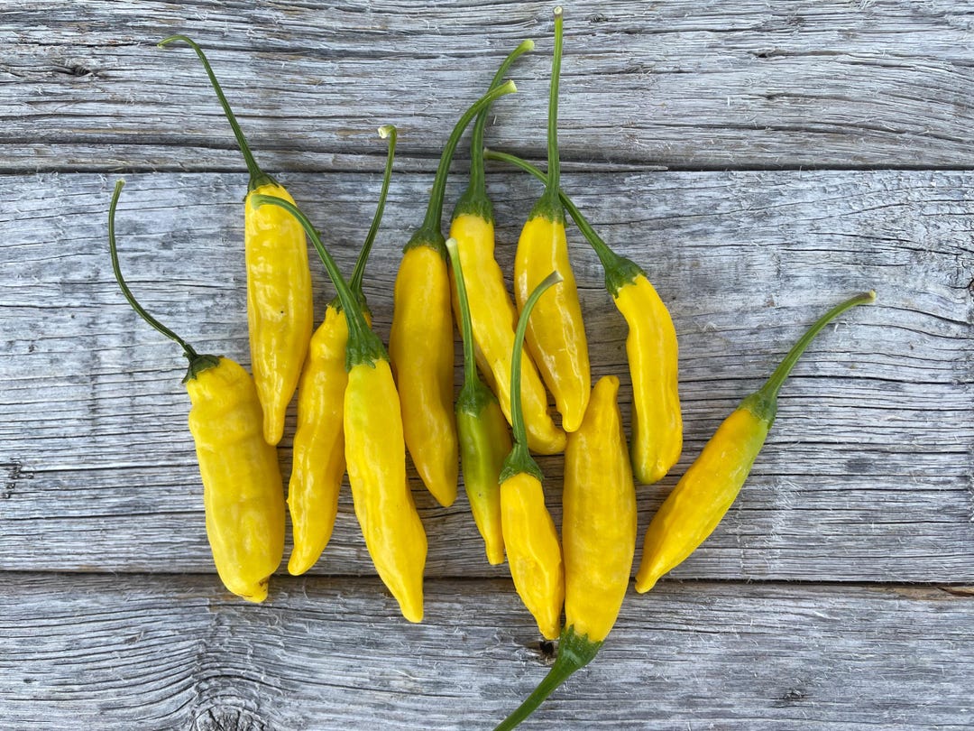 Organic LEMON AJI Hot Pepper Lemon Drop Unique Citrusy Rare SEEDS - Etsy