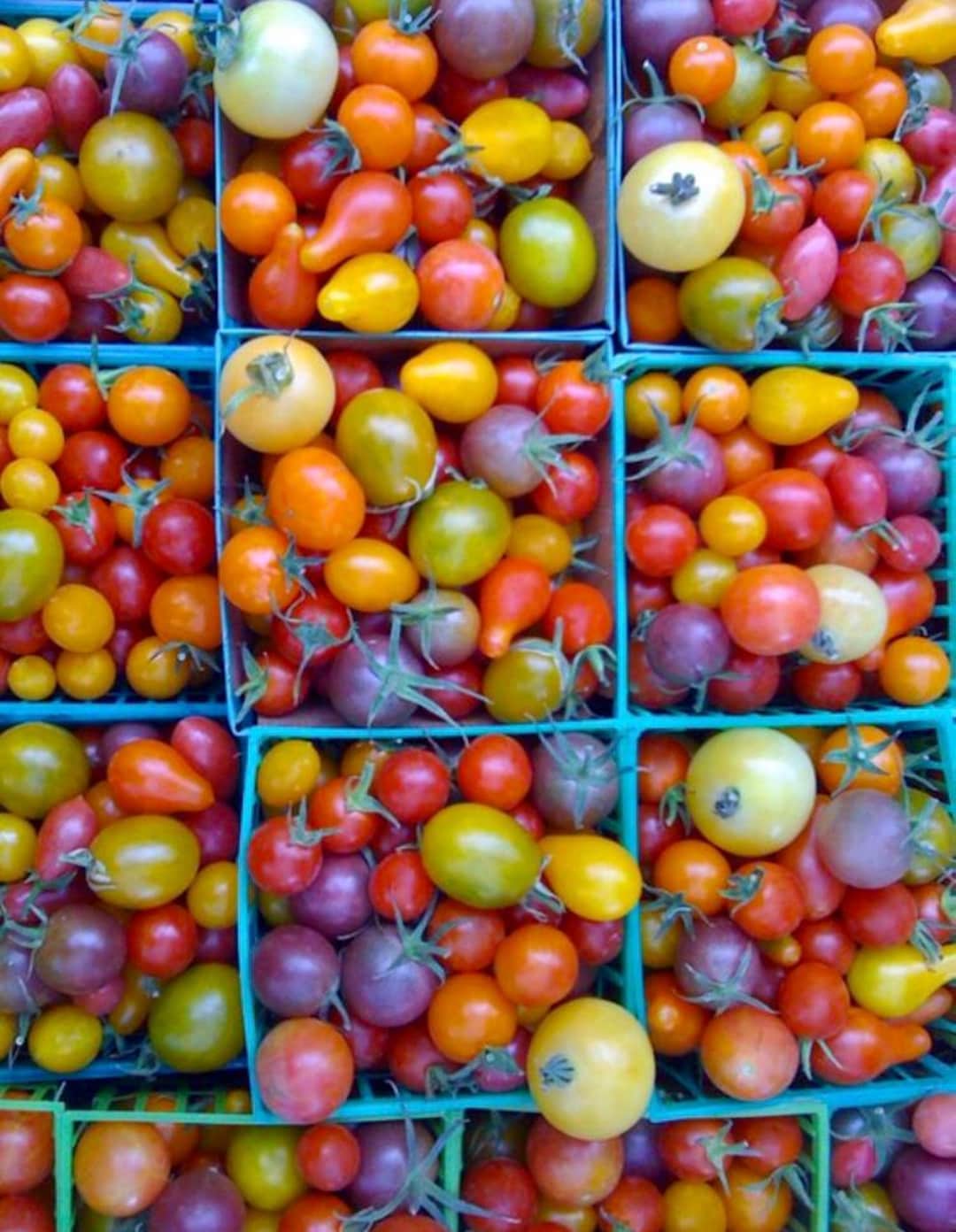 Rainbow Cherry Tomato Seeds | Organic Vegetable Seeds | Heritage Seeds ...