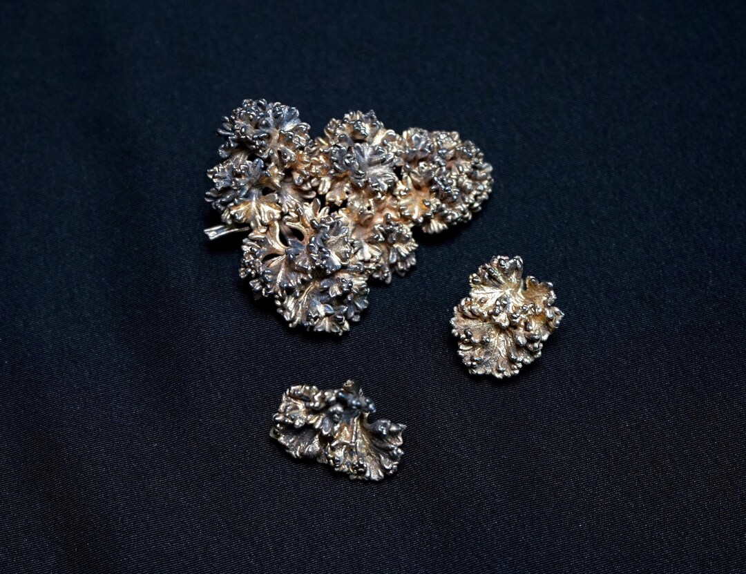 FLORA DANICA DENMARK Vintage Jewelry Set With Brooch and Clip-on ...