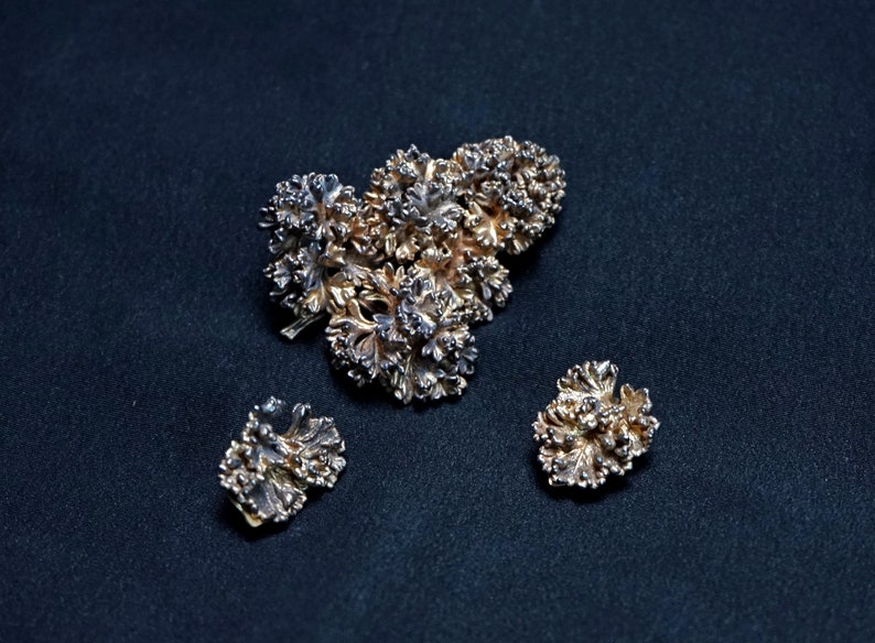 FLORA DANICA DENMARK Vintage Jewelry Set With Brooch and Clip-on ...