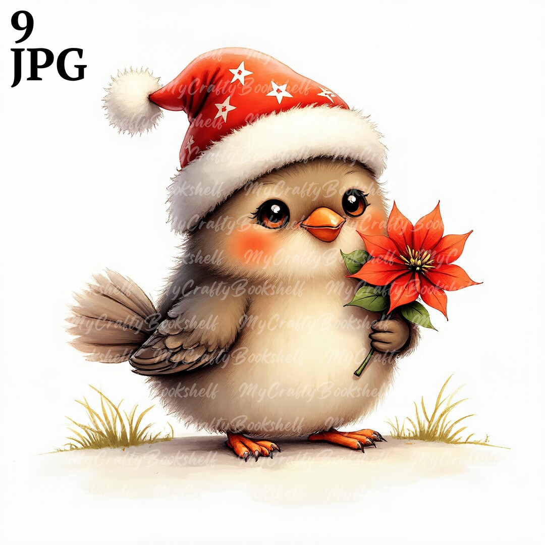 9 Cute Whimsical Christmas Bird Clipart, Funny Bird Clipart, Jpgs ...