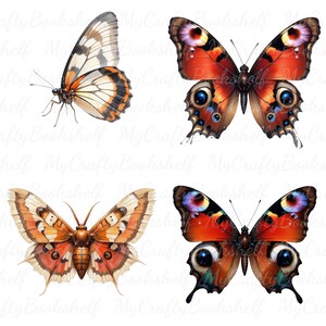 21 Butterfly Moth Clipart, Realistic Clip Art PNG, Digital Download for ...