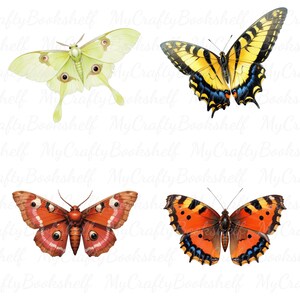 21 Butterfly Moth Clipart, Realistic Clip Art PNG, Digital Download for ...