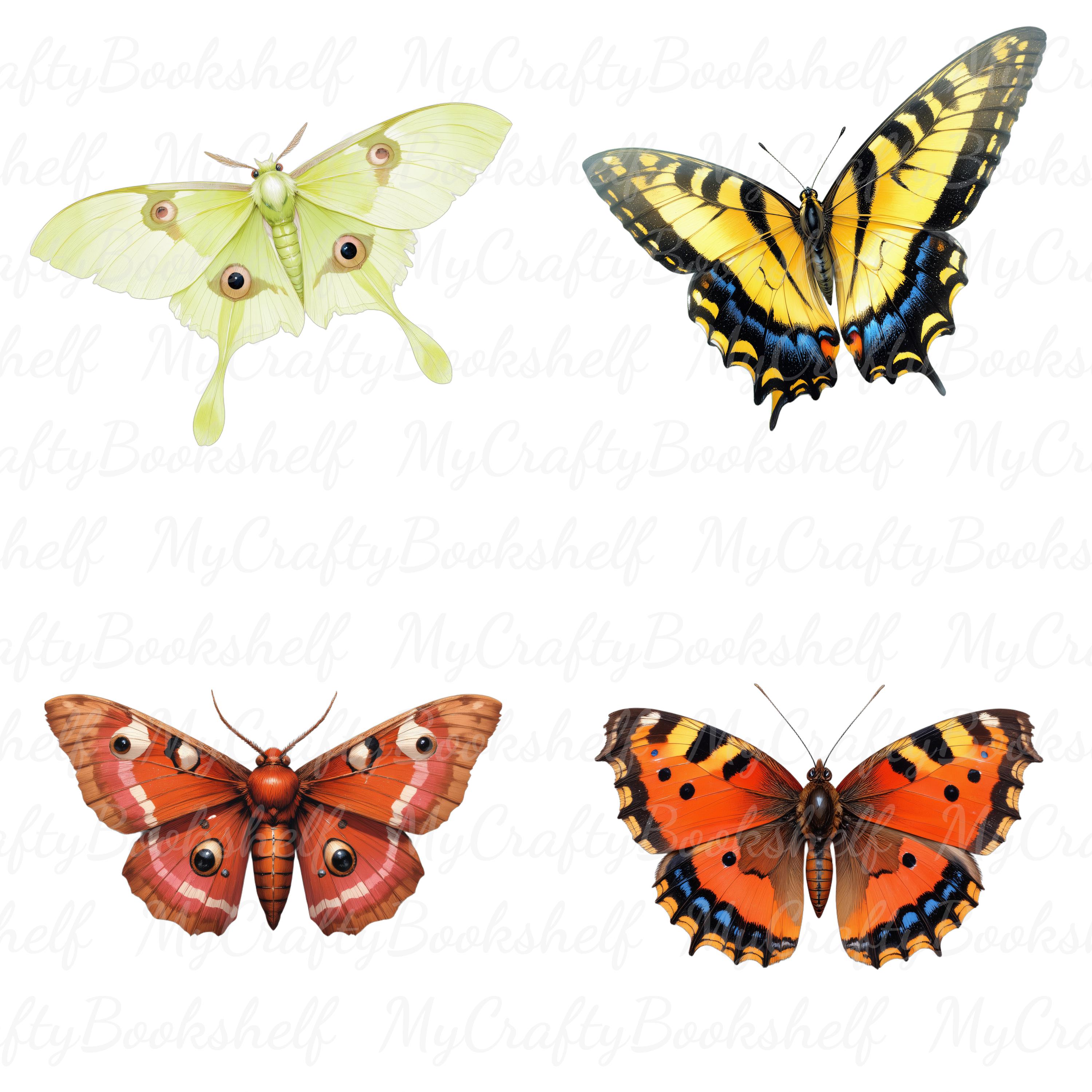 Butterfly Moth Clipart: Realistic PNG Images for Scrapbooking (digital ...