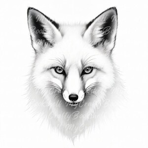 Fox Line Art Clipart: Black & White Watercolor (digital Download) - Etsy