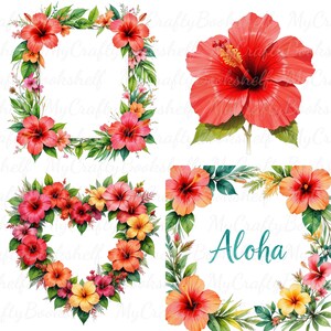 Hibiscus Flower Clipart: Tropical PNG Graphics for Commercial Use ...