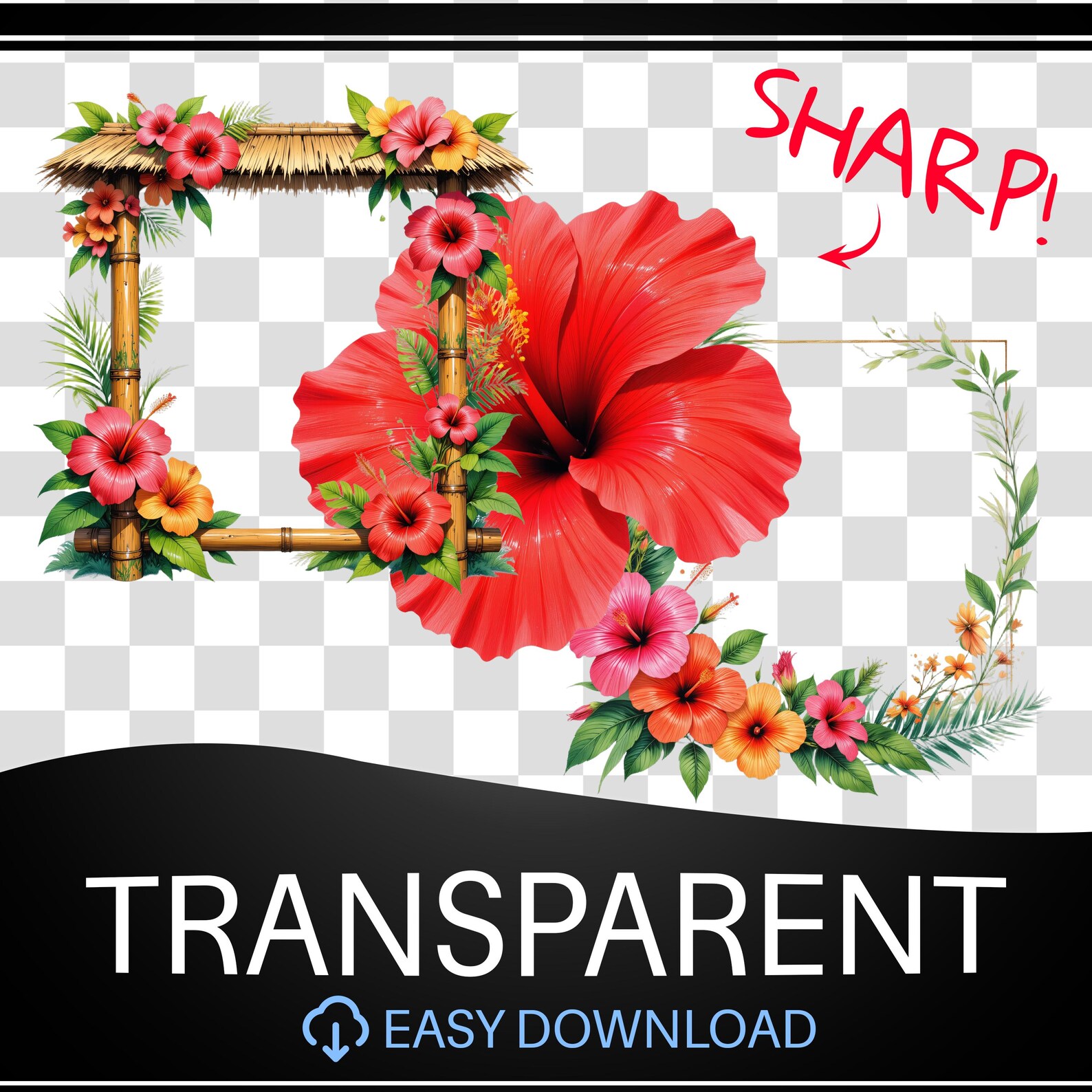 Hibiscus Flower Clipart: Tropical PNG Graphics for Commercial Use ...
