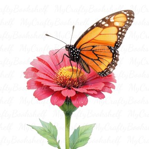21 Butterfly Moth Clipart, Realistic Clip Art PNG, Digital Download for ...