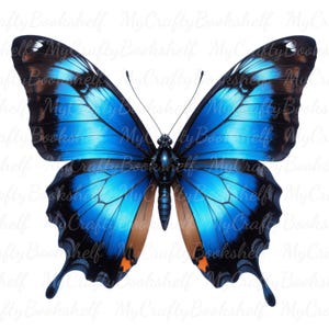 21 Butterfly Moth Clipart, Realistic Clip Art PNG, Digital Download for ...