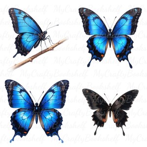 21 Butterfly Moth Clipart, Realistic Clip Art PNG, Digital Download for ...