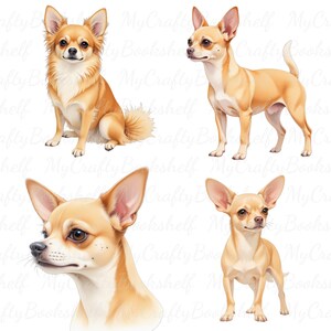 24 Chihuahua Clipart, Cute Dog Clip Art Kit, PNG for Scrapbook, Junk ...
