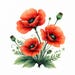 Watercolor Poppy Clipart Bundle: High-res PNG Images (digital Download ...