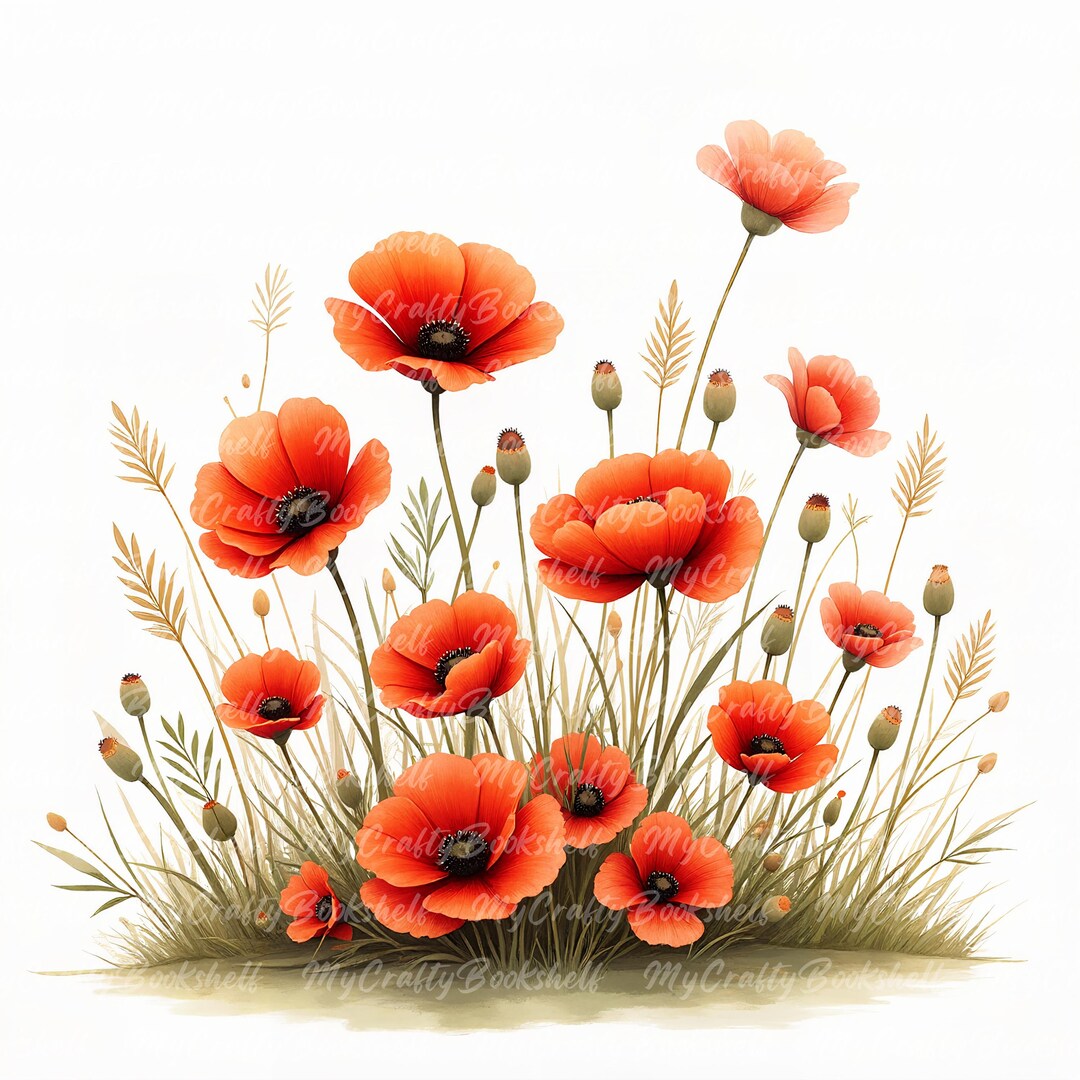 18 Poppy Plant Clipart Bundle, High-res JPG, Craft Art, Card Making ...