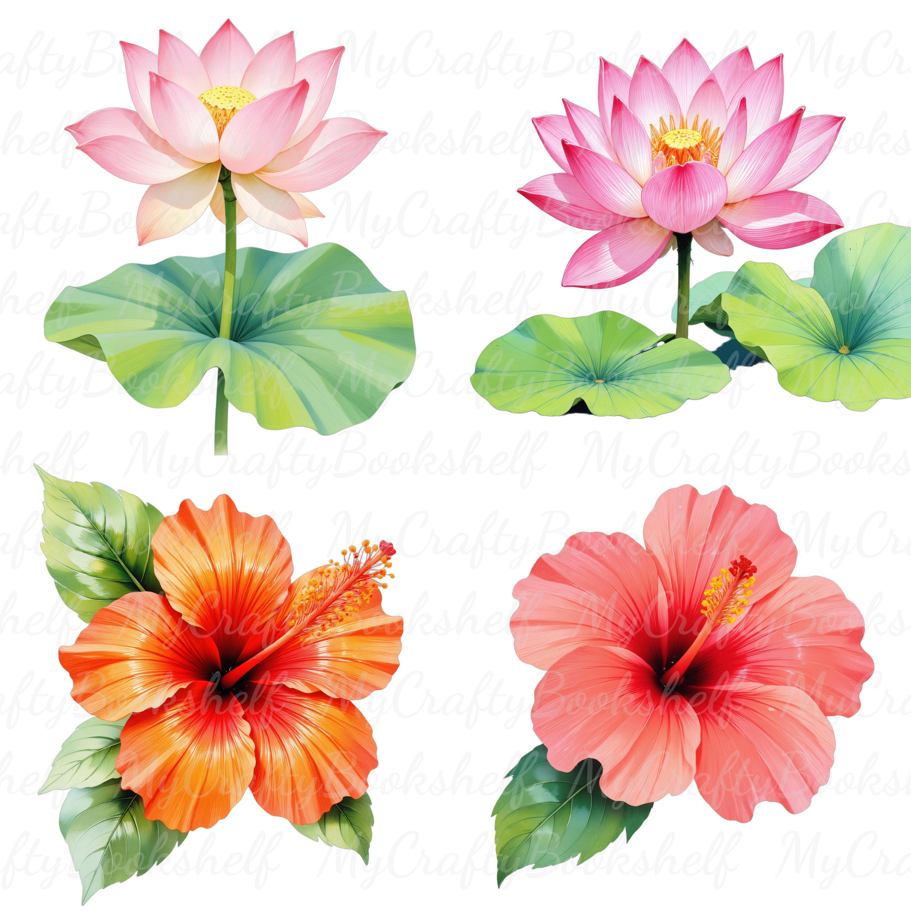 Tropical Flowers Clipart: High-res PNG Images for Commercial Use ...
