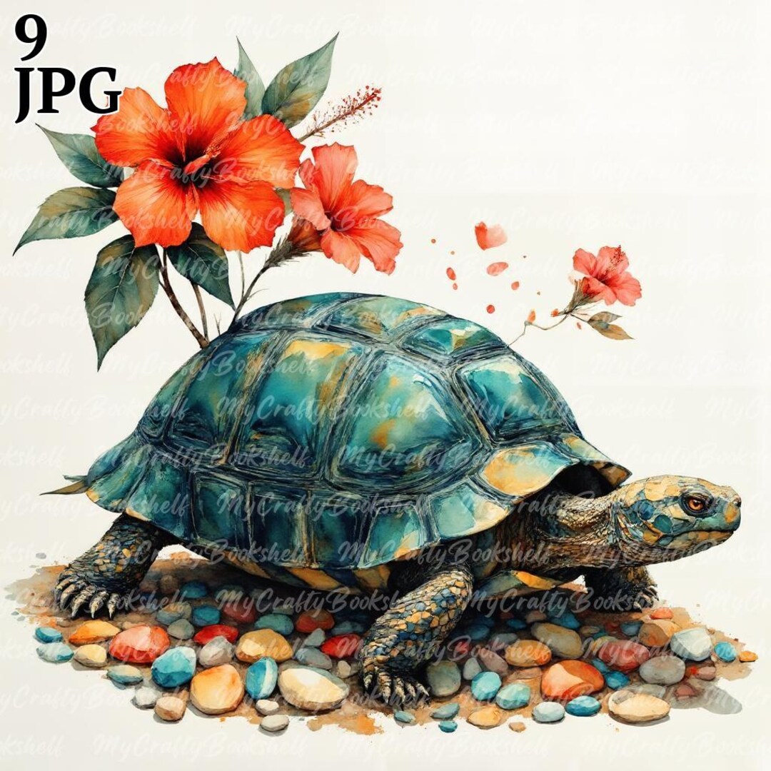 9 Tortoise Clipart, Turtle Clipart, Printable Watercolor Clipart, High ...