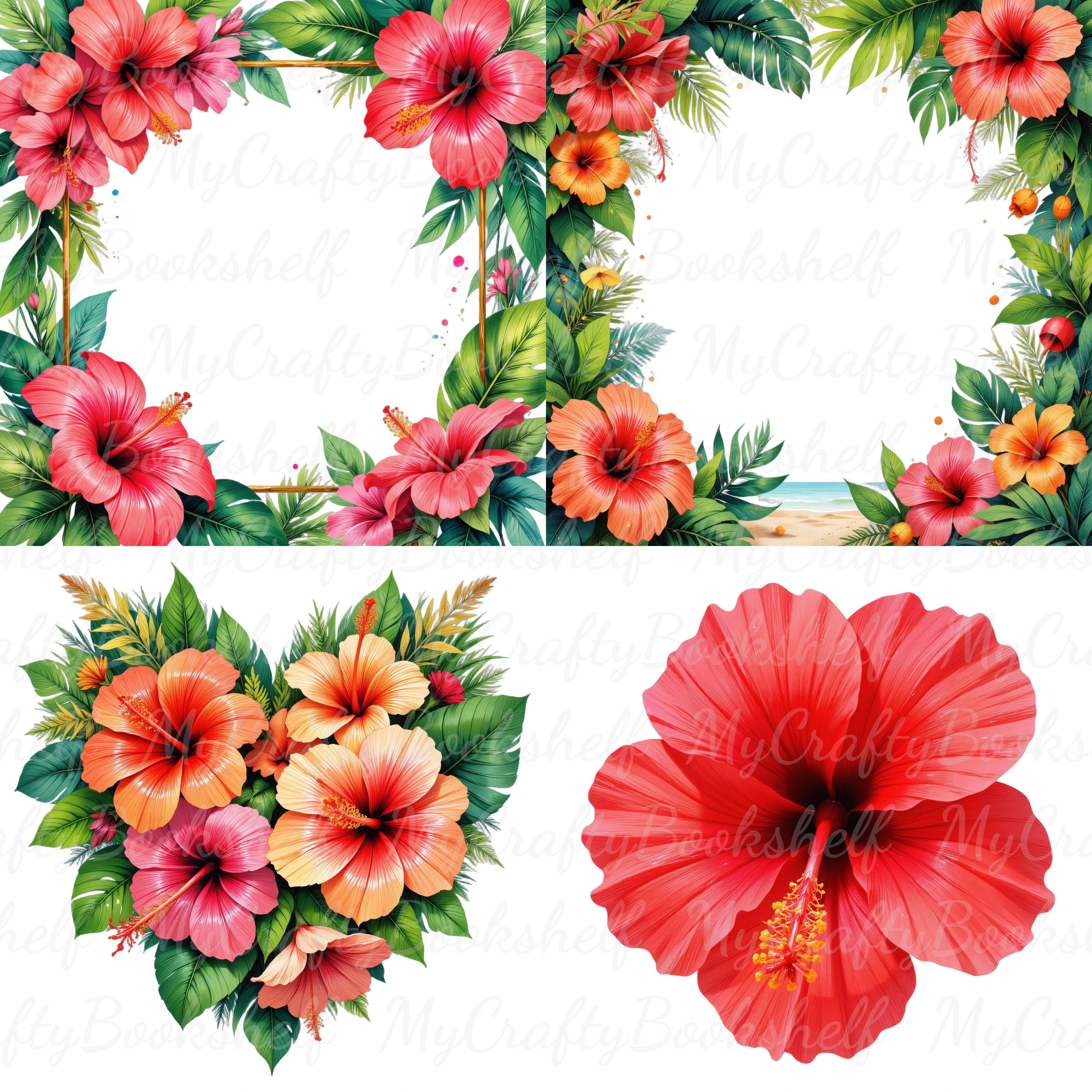 Hibiscus Flower Clipart: Tropical PNG Graphics for Commercial Use ...