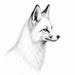 Fox Line Art Clipart: Black & White Watercolor (digital Download) - Etsy