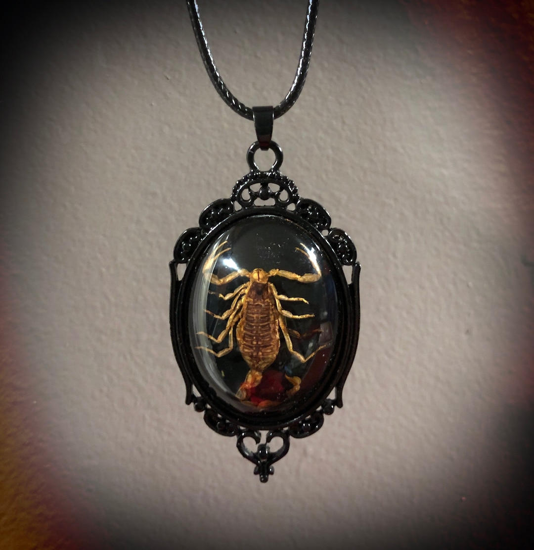 Real Scorpion Necklace With Black Victorian Setting // Gothic - Etsy