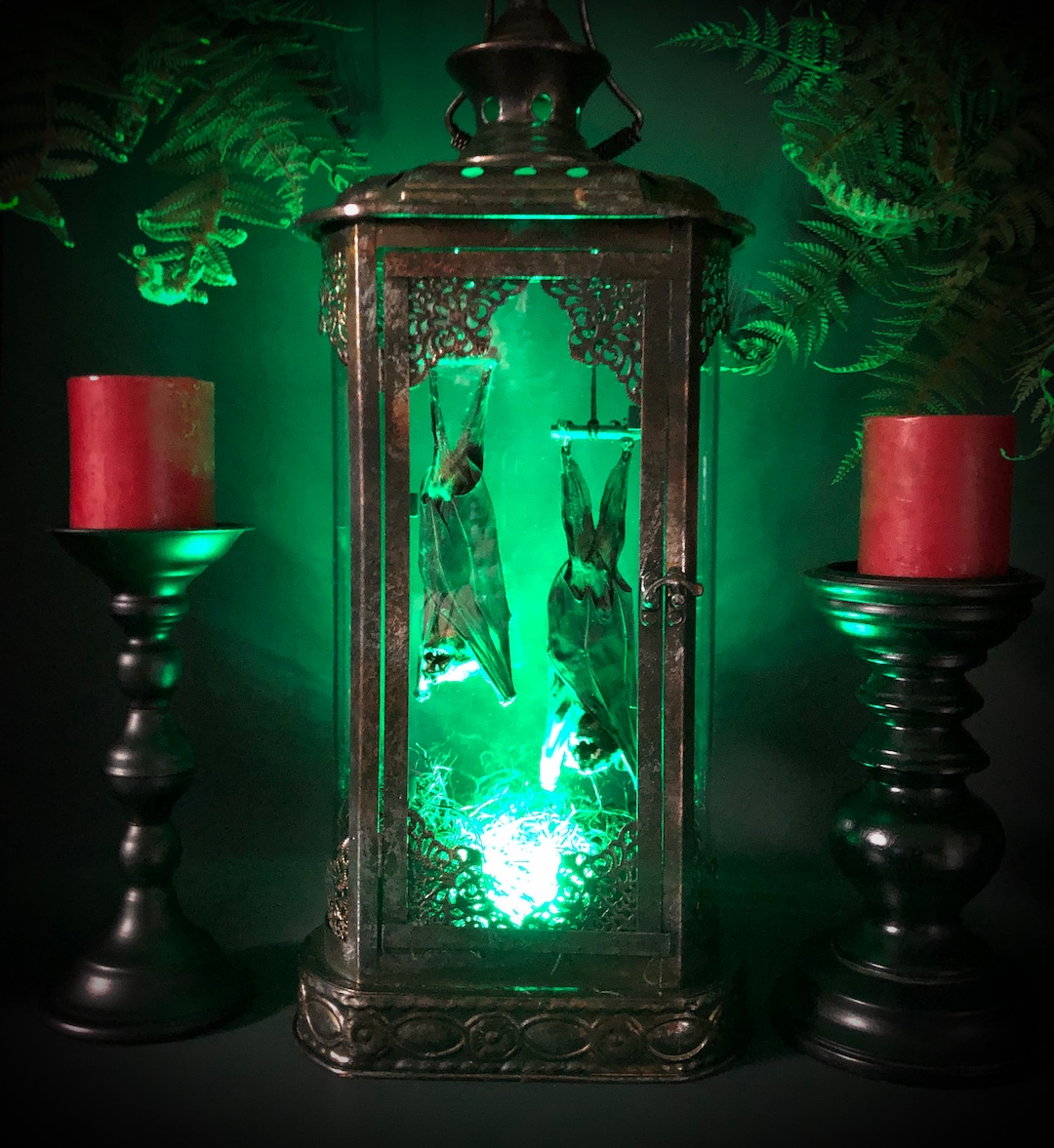Large Gold Taxidermy Bat Lantern With 2 Bats and Lights // Gothic Home ...