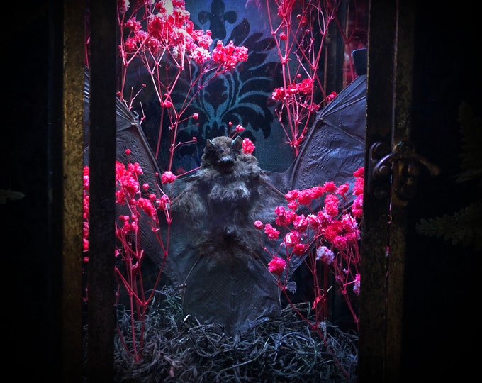 Large Gold Light up Taxidermy Bat Lantern With Flowers // Gothic ...